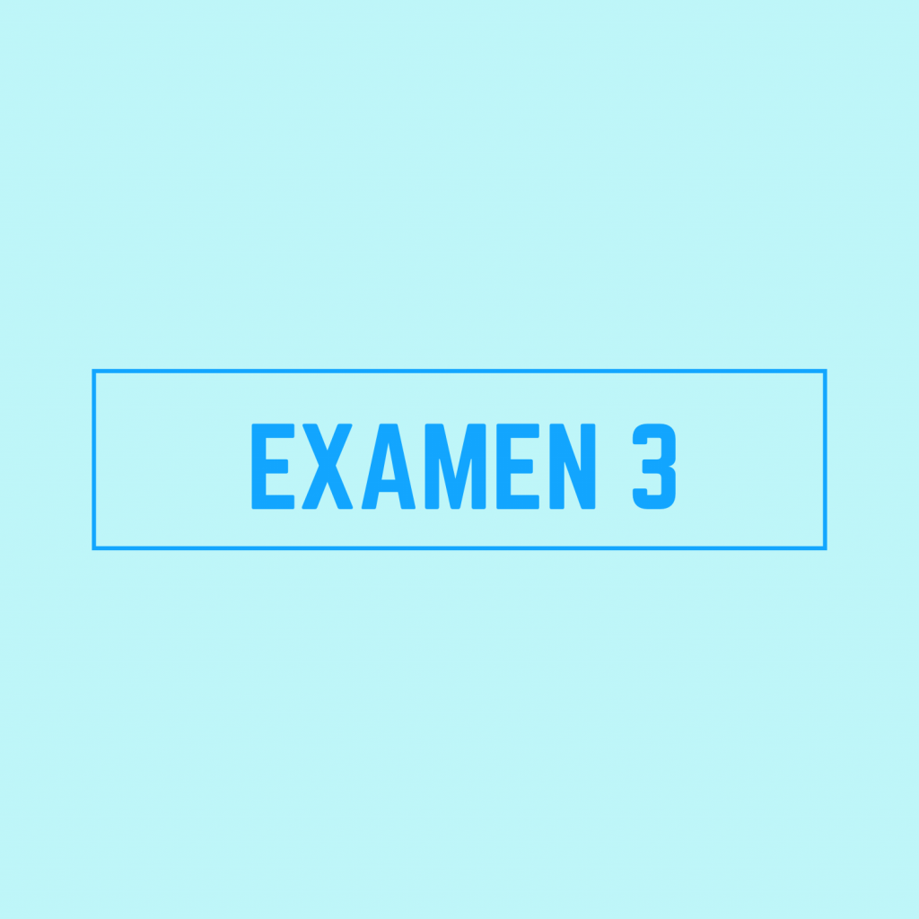 Theorie examen 3 - theoriestudio.nl